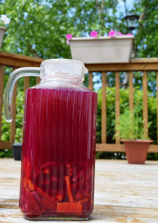 Carrot Beet Probiotic Beverage aka Gajar Beet ki Kanji | Aarti Batavia ...